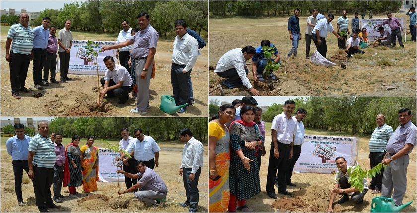 TREE PLANTATION DRIVE : WORLD ENVIRONMENT DAY - GITS